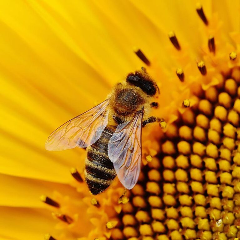 Service Overview – Genolution Kor